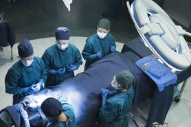 Tough Titmouse | The Good Doctor Wiki | Fandom
