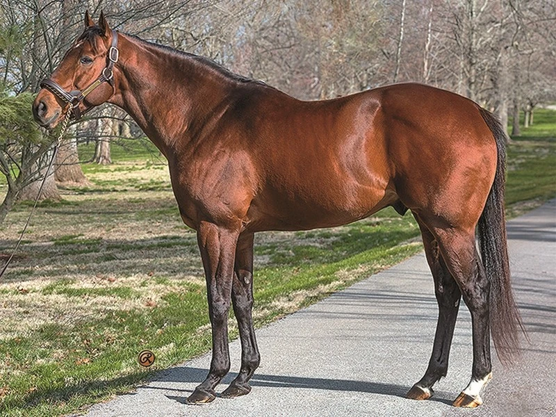 Zebediah | The Good, The Bad, And The Neutral Wiki | Fandom