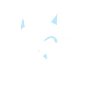 Roadrunner | The Great NPC Wiki | Fandom