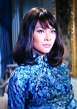 Lin | The Green Berets Wikia | Fandom