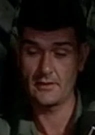 Sergeant Lark | The Green Berets Wikia | Fandom