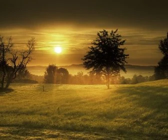 The Fold | The Grey Hand Wiki | Fandom