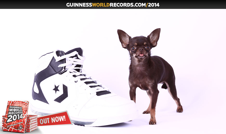 Guinness World Records 2014 | Guinness World Records Wiki | Fandom Guinness World Records 2014 | Guinness World Records Wiki | Fandom