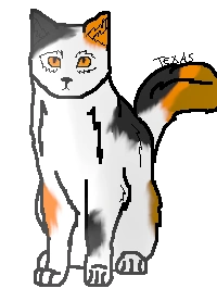 Spottedstar | The Half-Clan Hero Wiki | Fandom