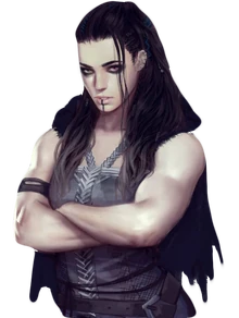 Lady Varra | The Havoc Universe Wiki | Fandom