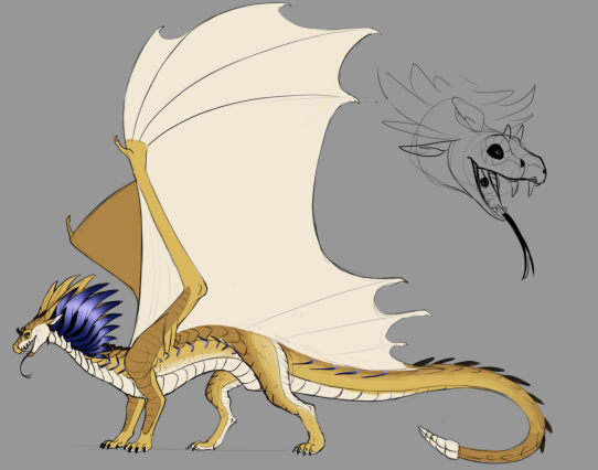 Design A Desertdweller The Hearth Wiki Fandom