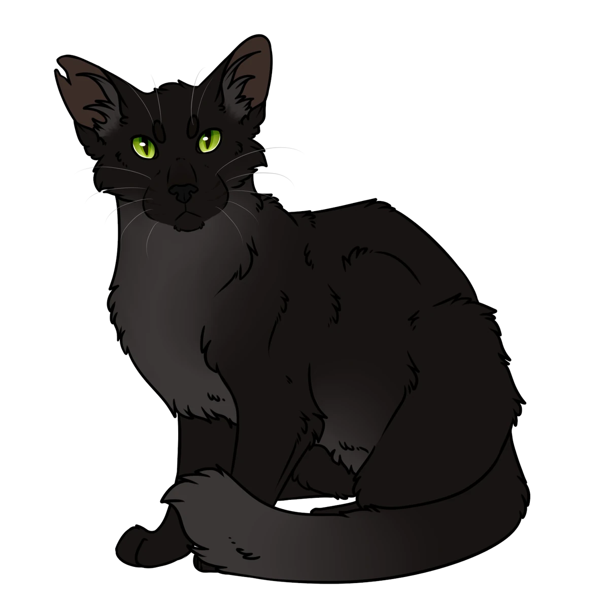 Nightpelt | The Hope series Wiki | Fandom