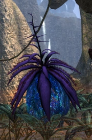 Abalone plant | The hopeful lands Wiki | Fandom