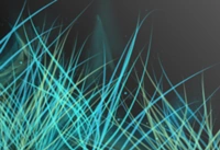 Biograss | The hopeful lands Wiki | Fandom