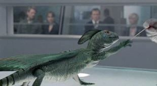 Flying lizard | The hopeful lands Wiki | Fandom