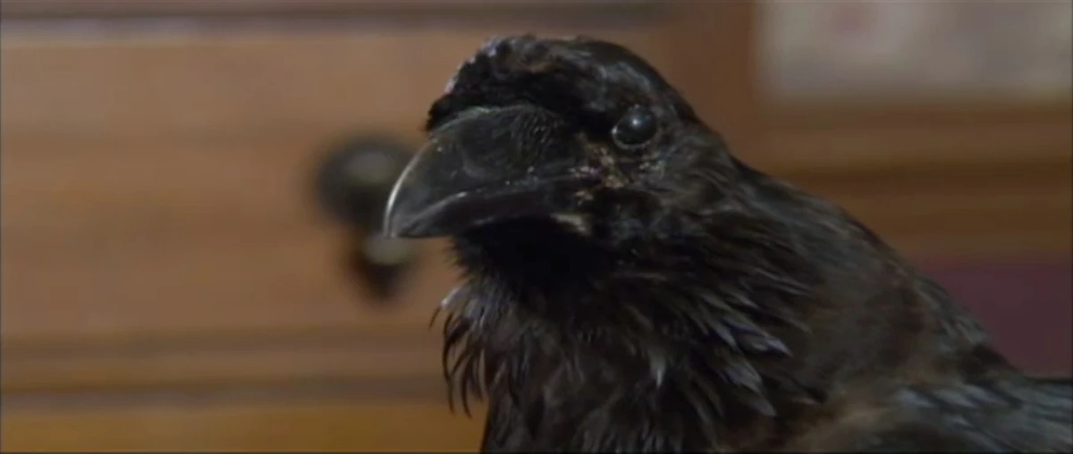 Corbierre / Gallery | House of Anubis Wiki | Fandom