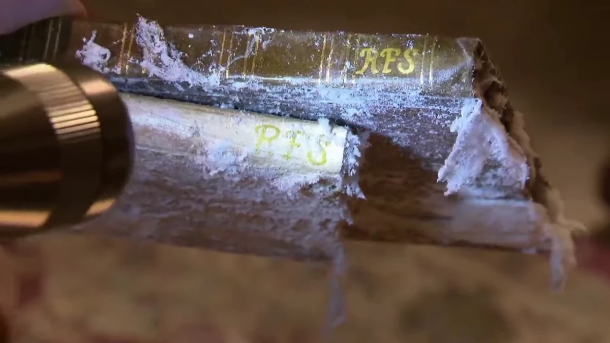 Robert's Diary | House of Anubis Wiki | Fandom