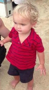 Bear Lawrence | The Hunger Games Films Wikia | Fandom