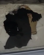 Hypemyke | The Hypemyke Wiki | Fandom