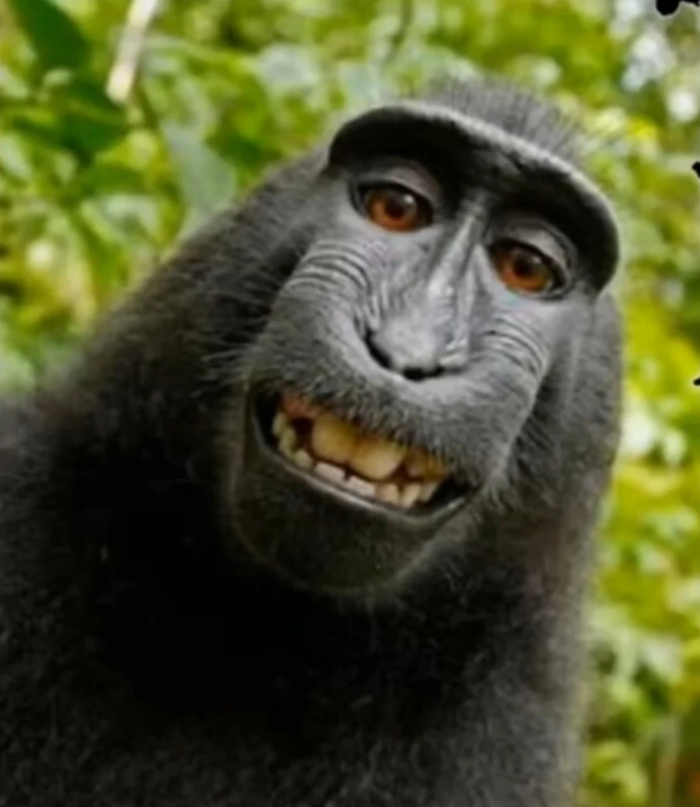 Phase 13 (The CJ Planets) | The Idiot Incredible Wiki | Fandom