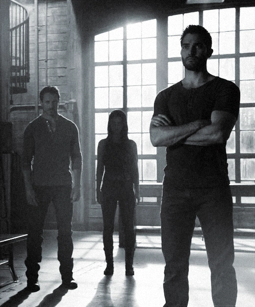 Hale Pack | The Immortal Hybrids Wiki | Fandom