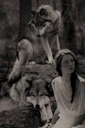 Werewolf-Witch Hybrid | The Immortal Hybrids Wiki | Fandom