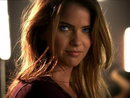 Werecoyote | The Immortal Hybrids Wiki | Fandom