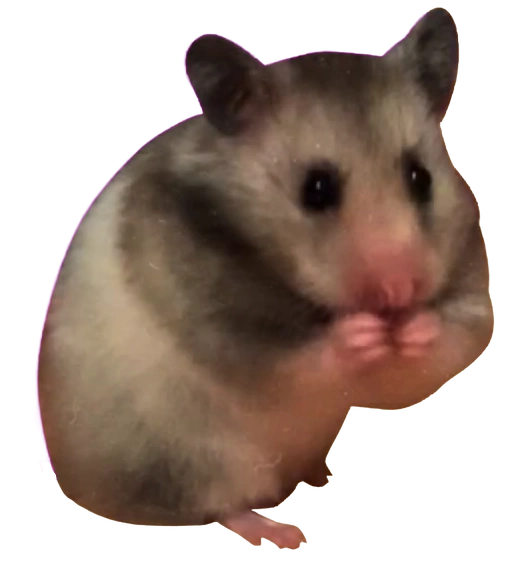 Beloved Hamster | The Infamous Object Show Wiki | Fandom