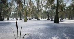 Swamp | The Infected Wiki | Fandom