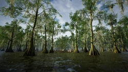 Swamp | The Infected Wiki | Fandom