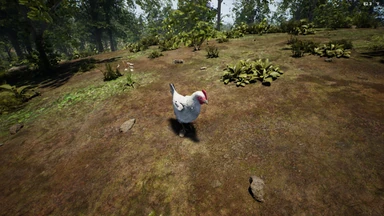 Chicken | The Infected Wiki | Fandom