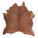 Animal Hide | The Infected Wiki | Fandom