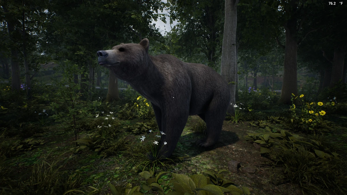 Bear | The Infected Wiki | Fandom