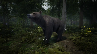 Bear | The Infected Wiki | Fandom