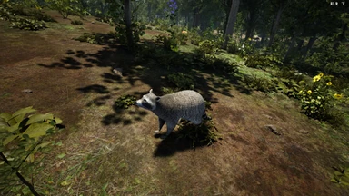 Raccoon | The Infected Wiki | Fandom