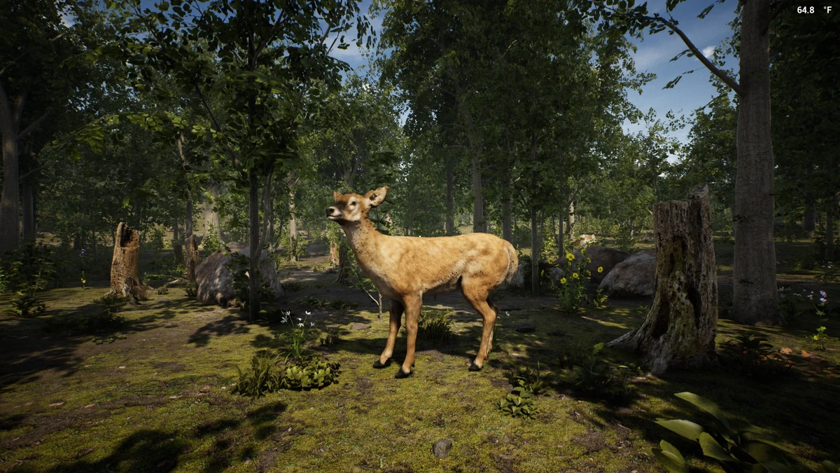 Deer | The Infected Wiki | Fandom