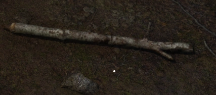 Stick | The Infected Wiki | Fandom