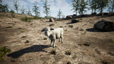 Sheep | The Infected Wiki | Fandom