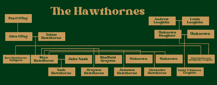 Category:Hawthorne | The Inheritance Games Wiki | Fandom