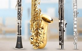 Woodwinds | The Instrumental Wiki | Fandom
