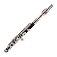 Piccolo | The Instrumental Wiki | Fandom