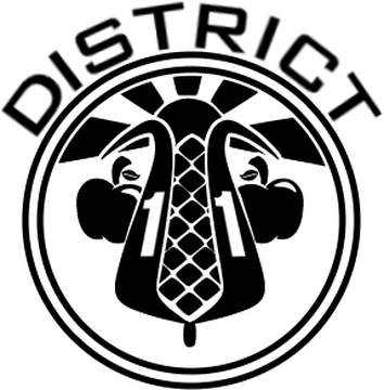 mockingjay district 11