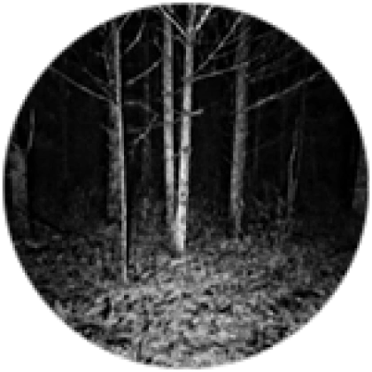 Category:Tapes | The Intruder Wiki | Fandom