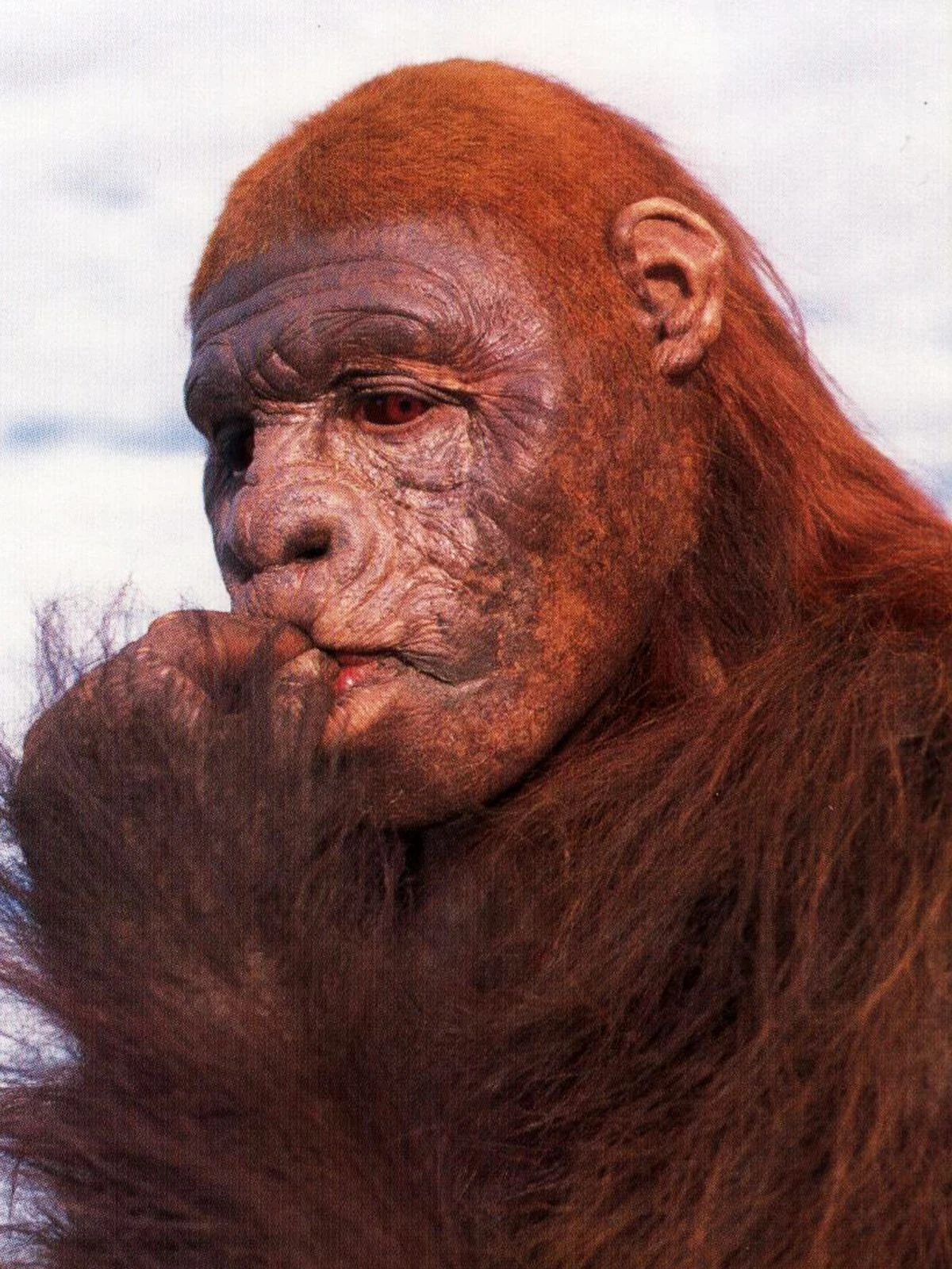 Paranthropus | The Island of the Lost Wiki | Fandom