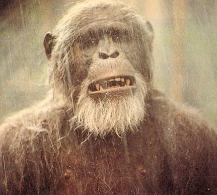 Ape | The Island of the Lost Wiki | Fandom