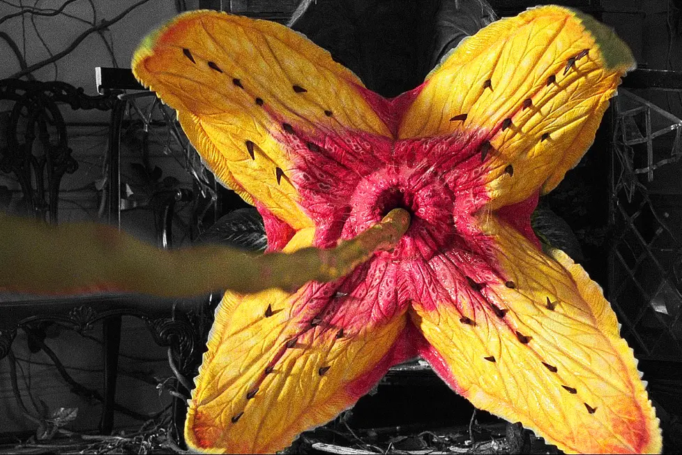 Carnivorous Pod | The Island of the Lost Wiki | Fandom