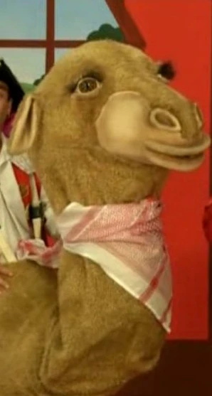 Zamel The Camel | The James Wiki | Fandom