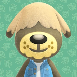 Puccy | The Kingdom ORGs Wiki | Fandom