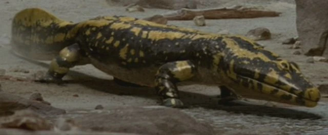 Hynerpeton | The Koba Files Series Wiki | Fandom