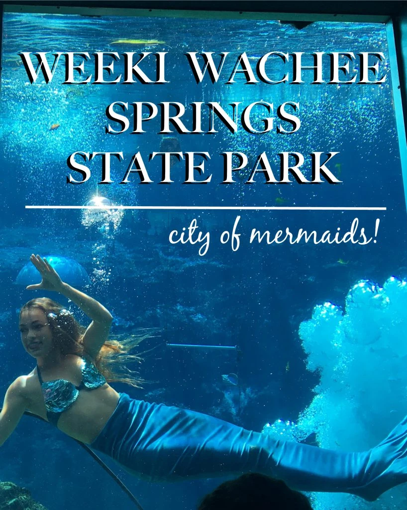 10 Years Of Weeki Wachee | The Kris Wall Productions Wiki | Fandom