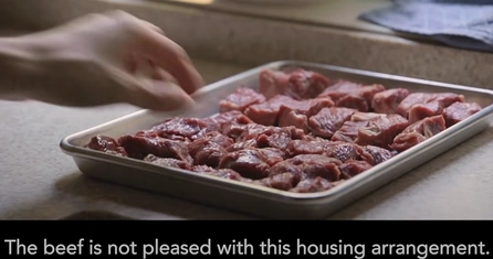 Frostbite Scale | The Labyrinth Wiki | Fandom