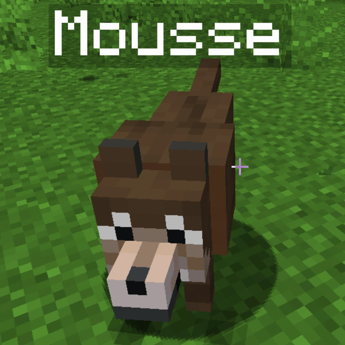 Mousse | The Land Of Secrecy Wiki | Fandom