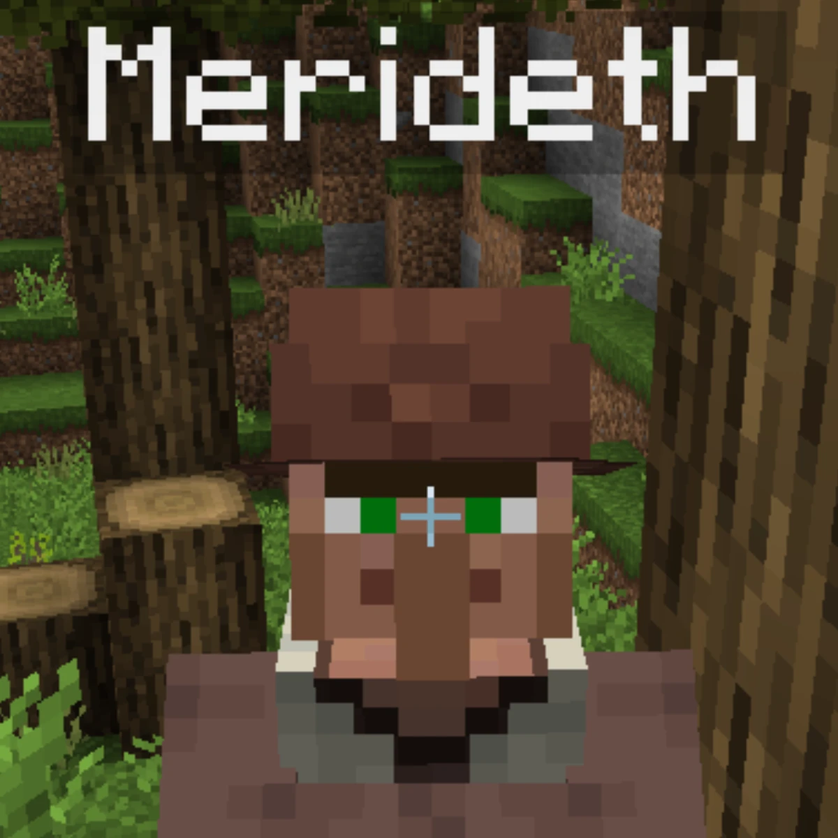 Merideth | The Land Of Secrecy Wiki | Fandom