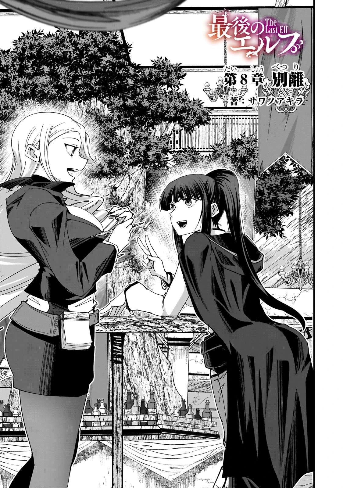 Chapter 8 | The Last Elf Wiki | Fandom