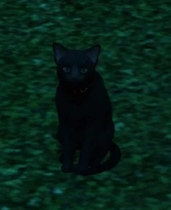 Jinx | The Last Ones Wiki | Fandom